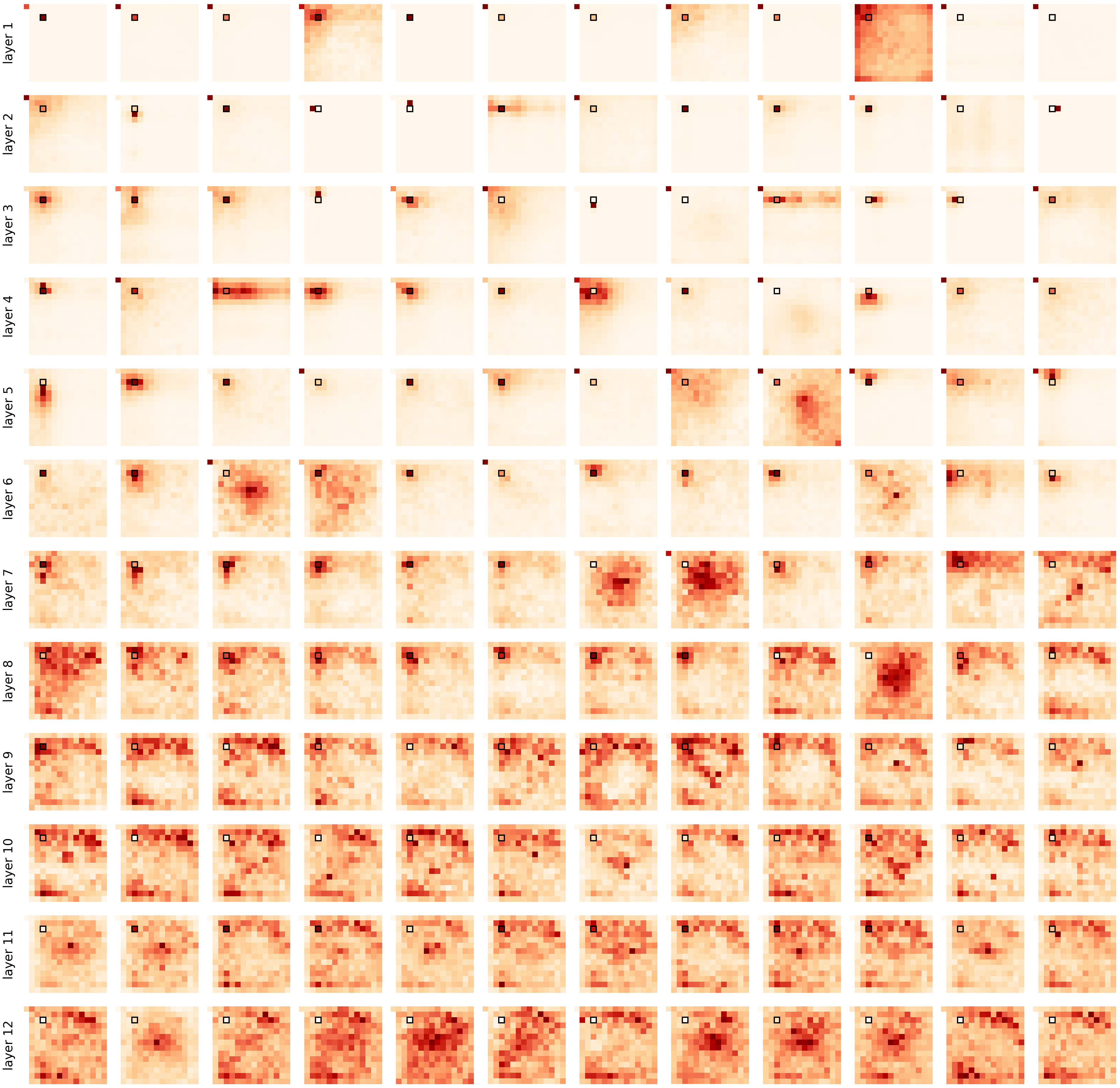 Visualization Of Self Attention Maps