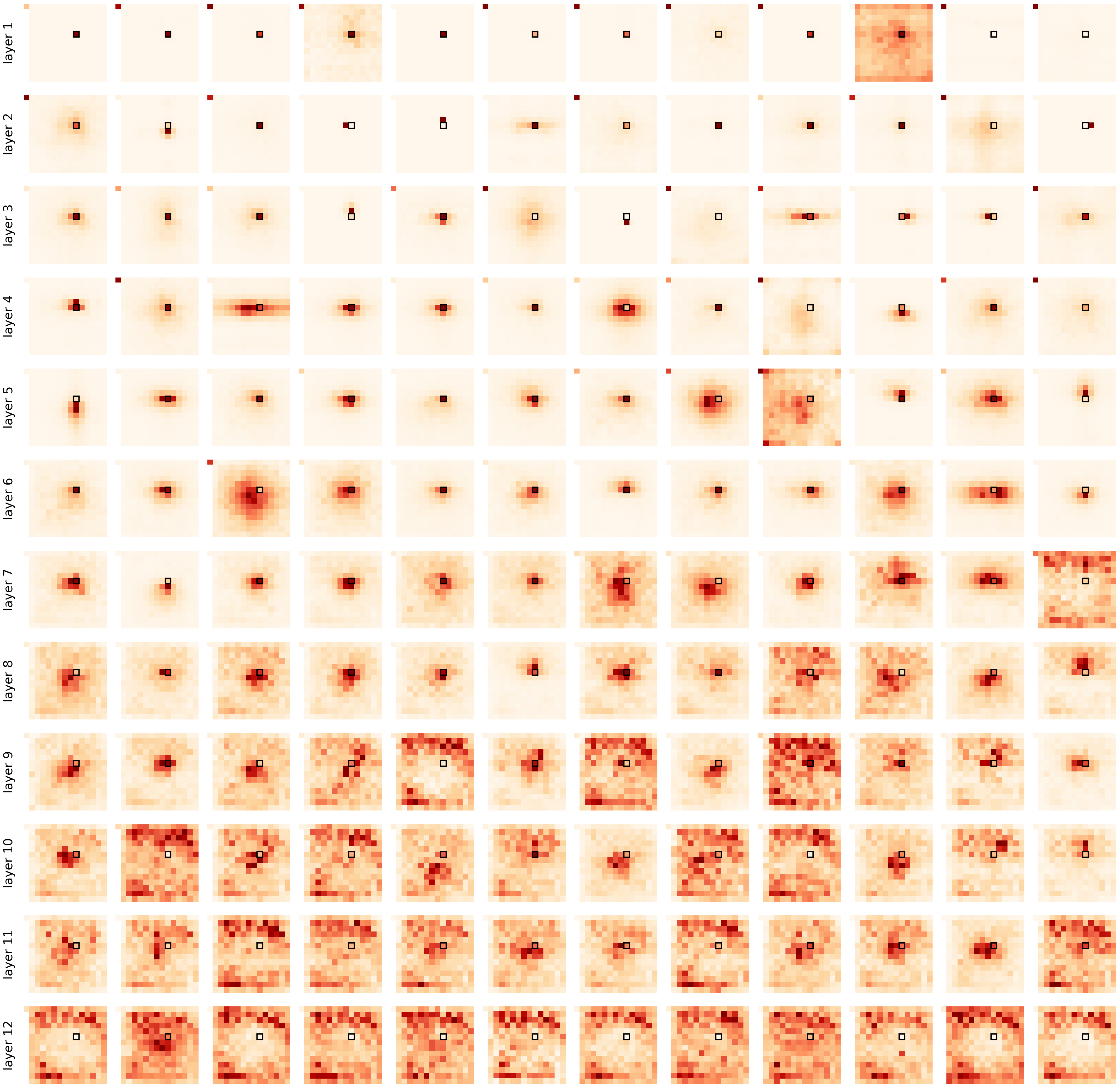 Visualization Of Self Attention Maps